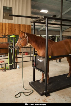 Priefert Horse Stock