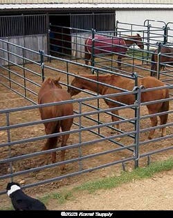 Priefert 12' Premier Panel